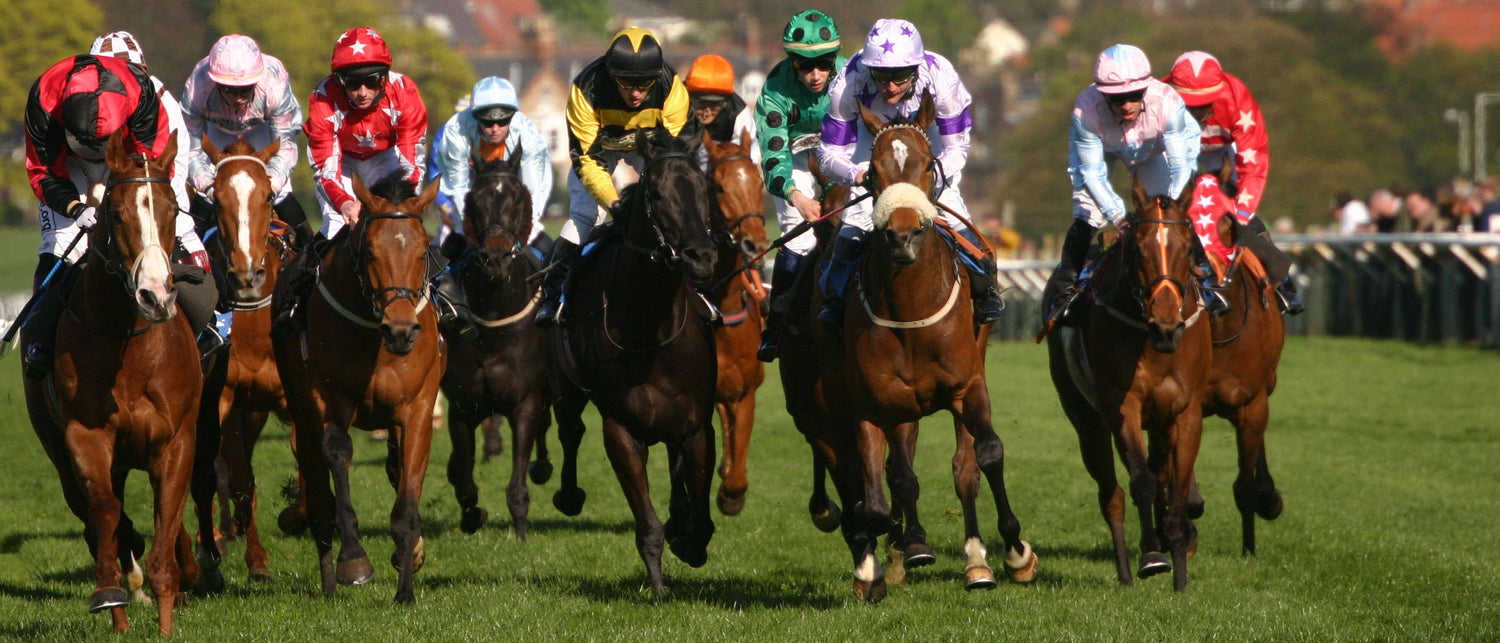 White Rose Saddlery – White Rose Saddlery Ltd